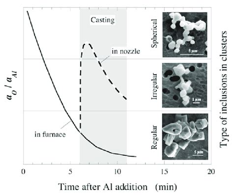 Illustration And Sem Micrographs Of Possible Transformation Of