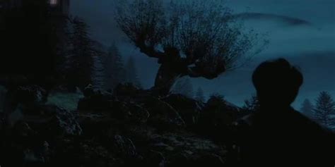 哈利想要和教父小天狼星一起生活，或者去乡下 英语趣配音