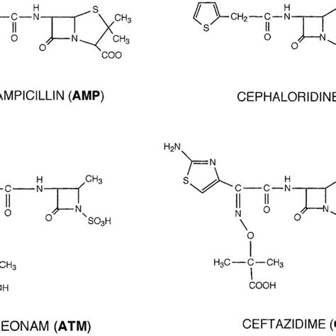 Structures Of Lactam Antibiotics Used In This Study Download