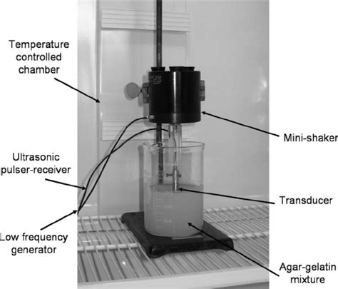 Experimental Setup The Shear Elasticity Probe Was Composed Of A