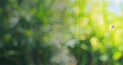 5 Things To Know Before Repairing Your Window Screen RiteScreen Shop