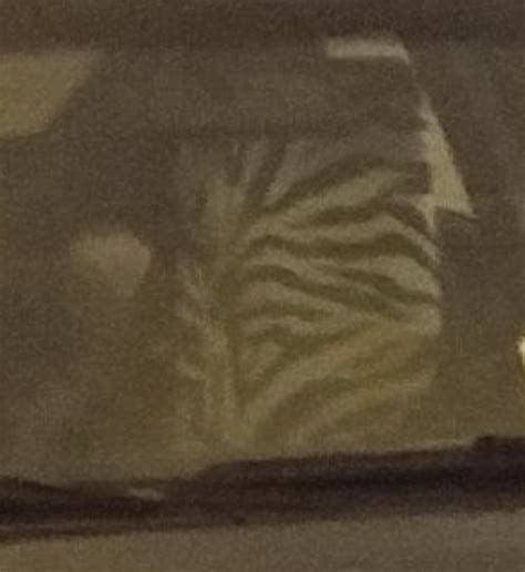 Quand Les Gens Oublient Comment Se Stationner Car C Est L Hiver R