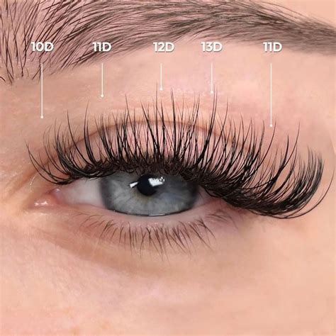 Signature Hybrids Lash Map Lashes Professional Eyelash Extensions Eyelashes