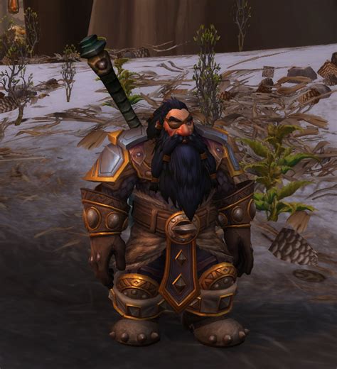 Dwarf Paladin Transmog