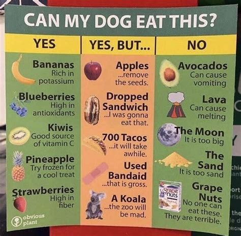 Printable List Of Foods Dogs Can And Cannot Eat