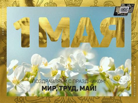 Новости Союза ММА России