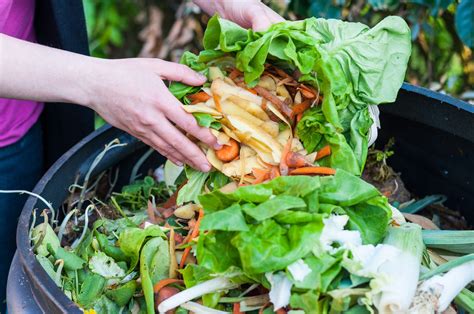 Spreco Alimentare In Italia I Numeri E Le Misure Per Contrastarlo Ohga