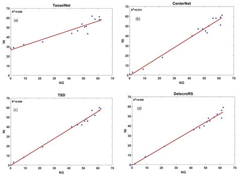 Advancing Tassel Detection And Counting Annotation And Algorithms