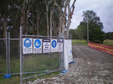 Arborist Projects Arborist Reports Development Applications Tree Hazards And Tree Protection