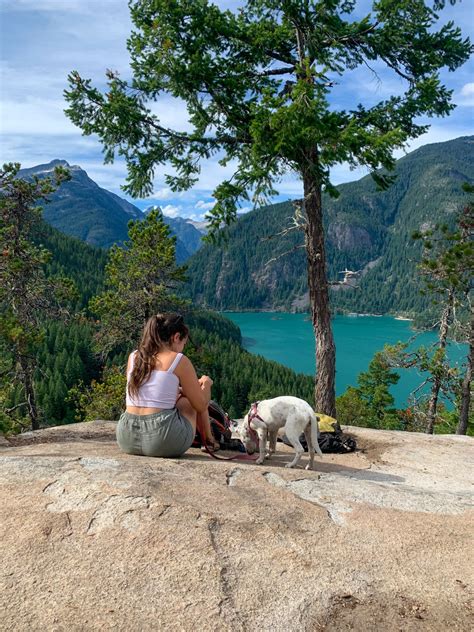 Ultimate Guide To Vanlife Buslife In The Cascade Loop Best Roadtrip In Washington State