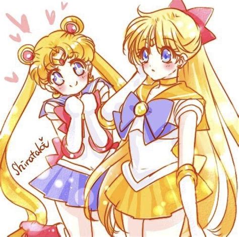 Sailor Moon Turtle Artofit
