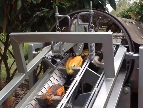 Fresh Cocoa Pod Breaking Crushing Decorticator Machine View Cocoa Pod