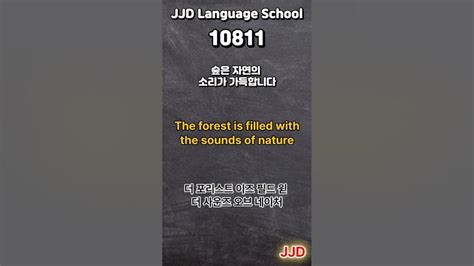 Daily Korean English 일상생활에서 사용하는 영어 표현 기초생활영어 영어회화 듣기만 하면 영어로 대화가능 미국인이 매일 쓰는 쉽고 짧은 영어 5문장 1082