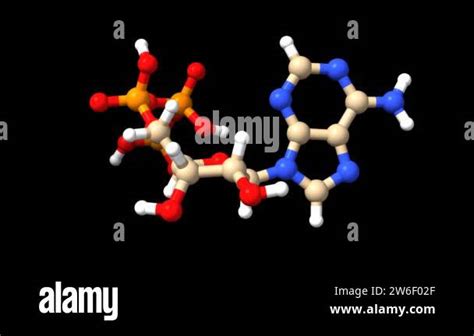 Animated 3d Ball And Stick And Spacefill Model Of Adenosine Triphosphate Atp Black Background