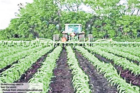 Soil Sludge Treatment With Biotech The National