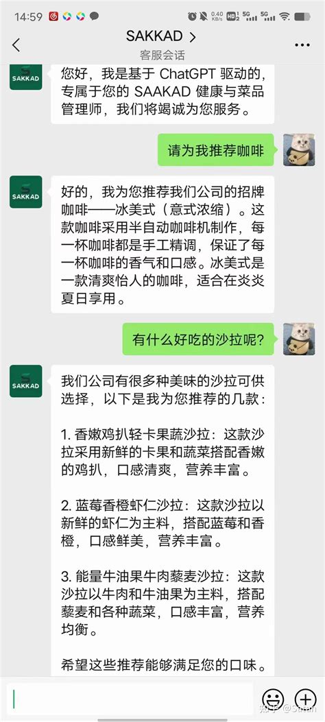GPT3 5应用之智能客服 知乎