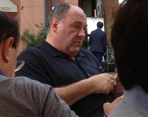 ‘sopranos Star James Gandolfini Guzzled At Least Eight Drinks During