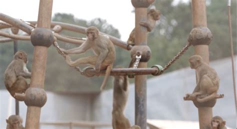 Mark Sharpless On Linkedin Love Care Progress Videos