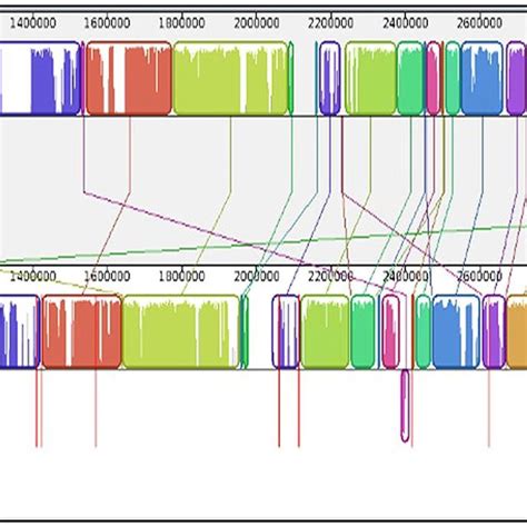 Genome Alignment Performed Using Mauve Software Between Strain Gg2 With