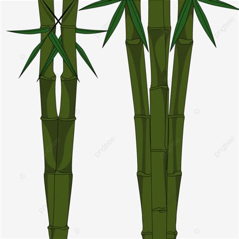Bamboo Tree Vector Bamboo Torch Green Png And Vector With