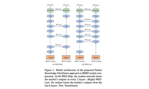 patient knowledge distillation for bert model compression 리뷰 ukjae jeong