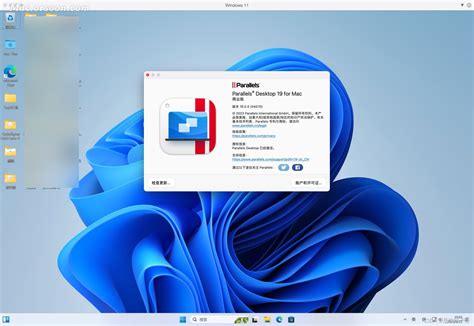 如何安装macos的虚拟机？mac安装虚拟机的步骤 虚拟机安装macos Vmware Fusion和parallels Desktop19