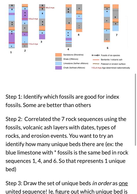 Solved Step 1 Identify Which Fossils Are Good For Index Chegg Com