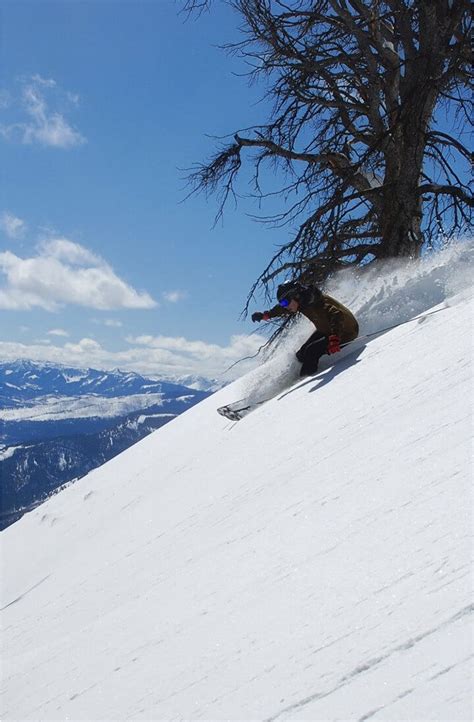 Forside Malvik Kommune