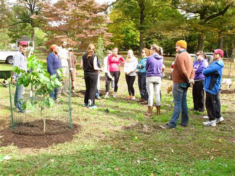 Penn State Extension Philadelphia Master Gardeners Food Forest In