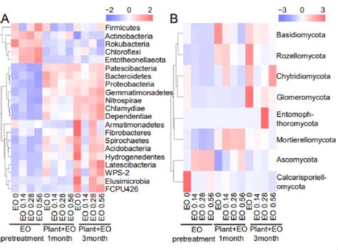 Heatmap Of The Dominant Bacterial A And Fungal B Composition Of The