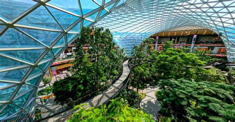 Hamad International Airport Marks One Year Since The Opening Of Orchard Khaled Aylouch