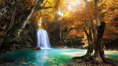 Windows Spotlight Wallpapers Top Free Windows Spotlight Backgrounds