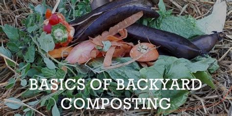 Basics Of Backyard Composting
