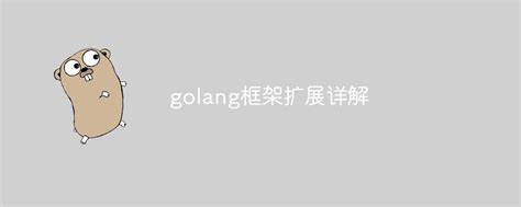 golang框架扩展详解 叮当号