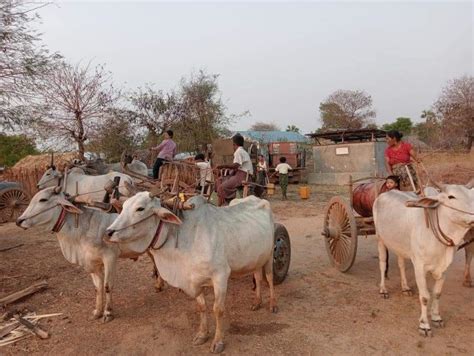 ညောင်ဦးမြို့နယ်အတွင်း ဝေမျှခြင်း ပရဟိတမိသားစုမှ ညောင်လှကျေးရွာနှင့်တာလမ်း ကန်တဲတိုက်သို့ သောက