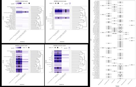 Graphical Summaries Of Cell Type Enrichment And Colocalization Results