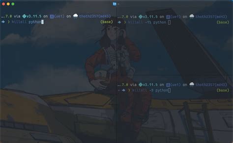 Pythondevelopment Debugging Softwareengineering Developerlife Oluwaseyi O