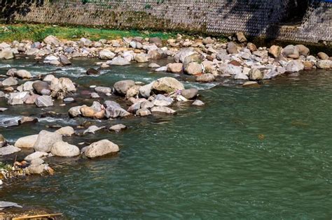 Premium Photo River Flow