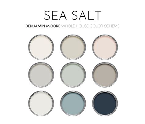 Sea Salt Benjamin Moore Paint Palette Modern Coastal Interior Paint