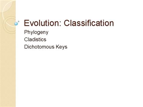 Evolution Classification Phylogeny Cladistics Dichotomous Keys Classification How