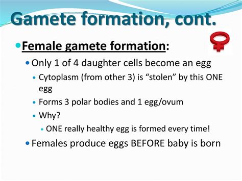 Ch 10 Review And Ch 11 Meiosis Intro Ppt Download
