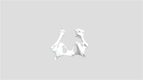 Femur Segmentation 3d Model By Jakeluong [4e4a6bd] Sketchfab