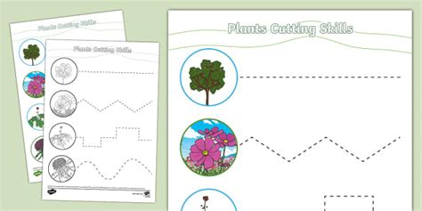 Plants Cutting Skills Worksheets Professor Feito Twinkl