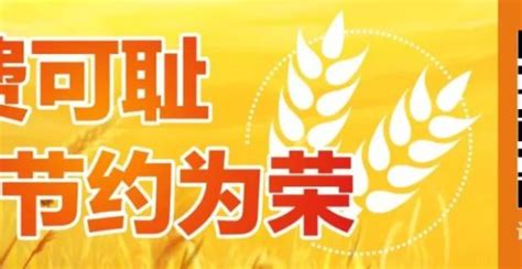 【新华社聚焦宝鸡】大学生“新农人”助力端牢“中国饭碗”腾讯新闻