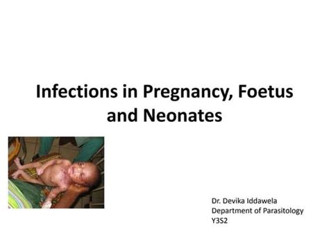 Torch Infection Pptx Pregnancy Reproductive Health