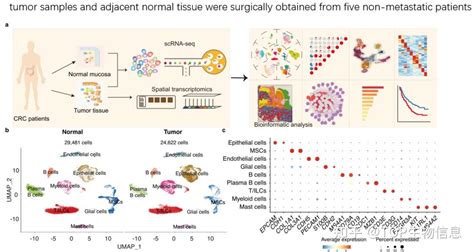 文献8 单细胞和空间分析揭示fap成纤维细胞和spp1巨噬细胞在结直肠癌中的相互作用 知乎