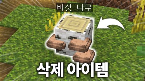 마인크래프트 1 19 삭제된 아이템 체험하기 Youtube