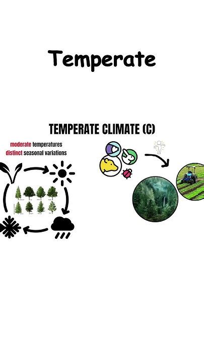 Four Seasons Of Fun Unveiling The Temperate Zone In 60 Seconds Temperateclimate Science