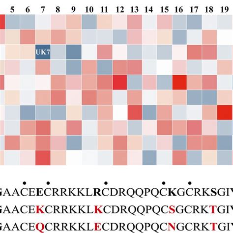 Screening Of Mrpigb Mutagenesis Library For Selecting Strains With