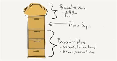 People Keep Asking Me About The Flow Hive Here S What I Think Dustin Bajer